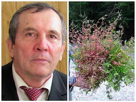 Știri de ultima oră din Vrancea și Focșani. Dezvăluiri, anchete, web TV ...