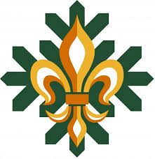 Astăzi despre Cercetașii României