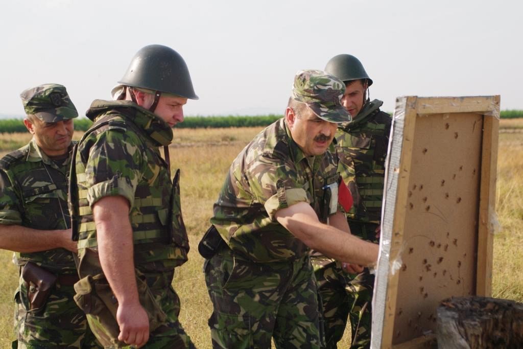 Brigada 8 LAROM şi-a ales cei mai buni militari