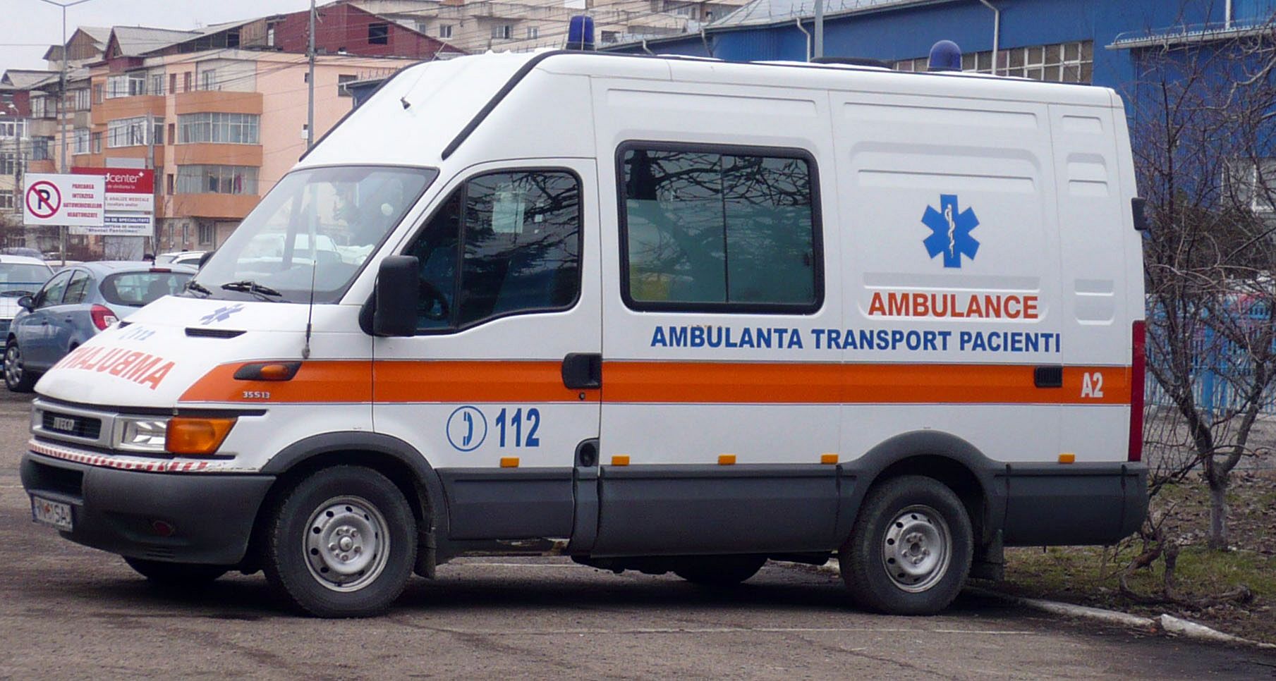 Protest în copac după o ceartă cu părinţii