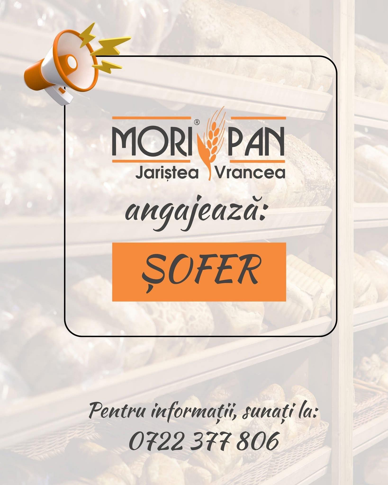 Angajăm ȘOFER! - Angajări - Oferte