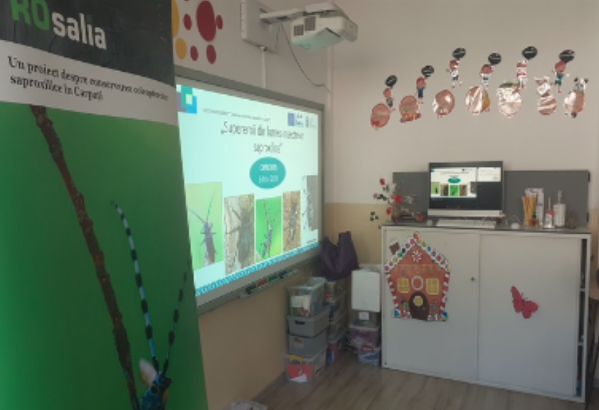 APM Vrancea: Informații actualizate despre derularea proiectul ...