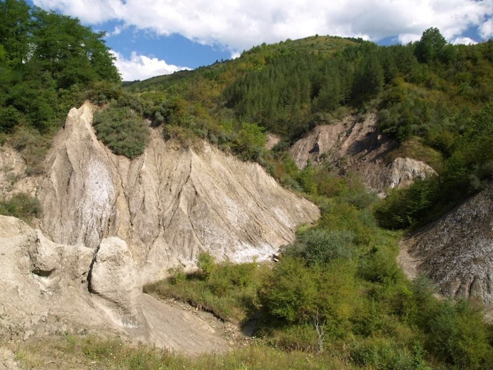 Arii naturale protejate din Vrancea unde, în urmă cu milioane de ani ...