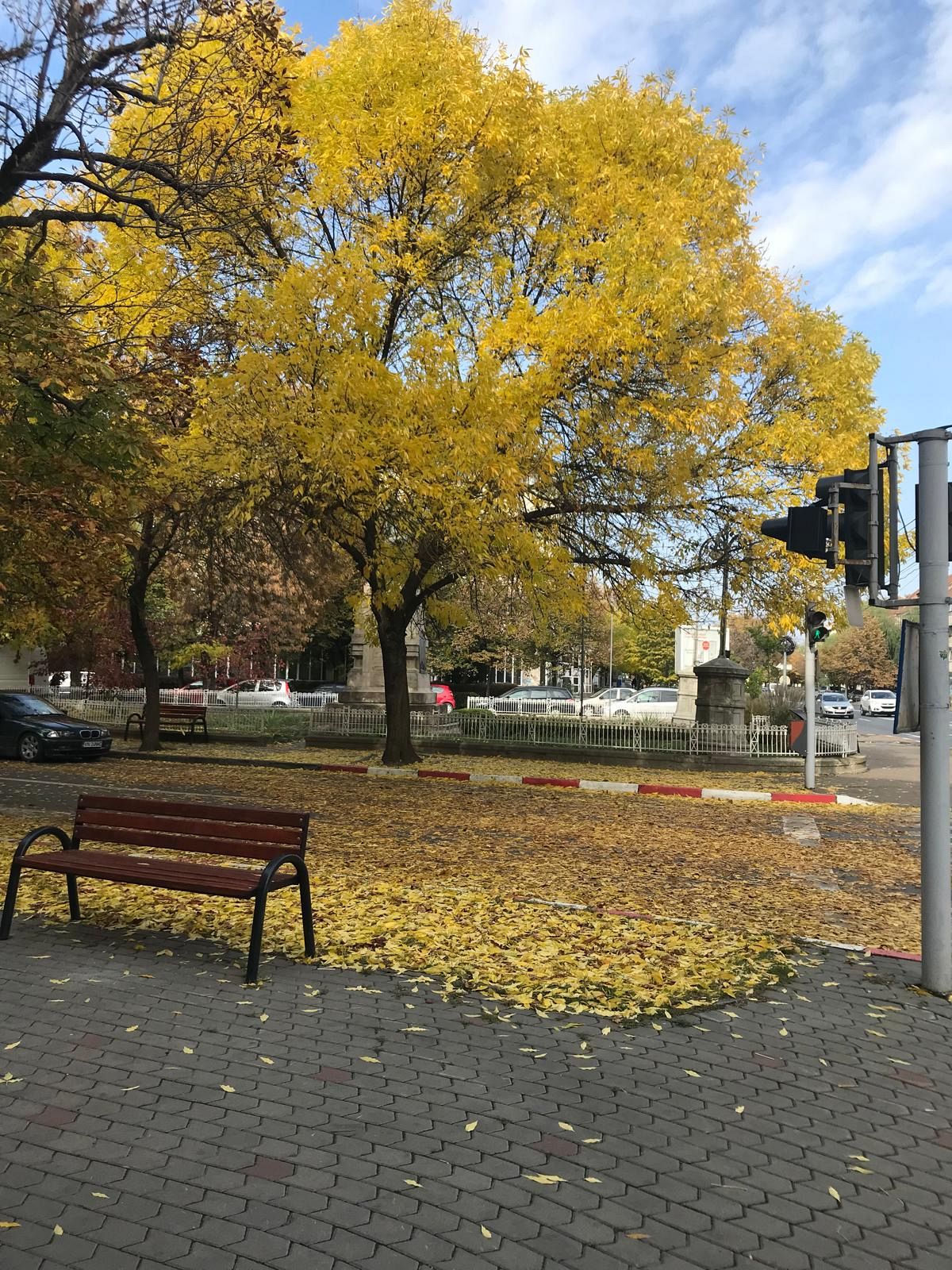 Astăzi, 22 septembrie 2025: Echinocțiul de toamnă. Începutul oficial al ...