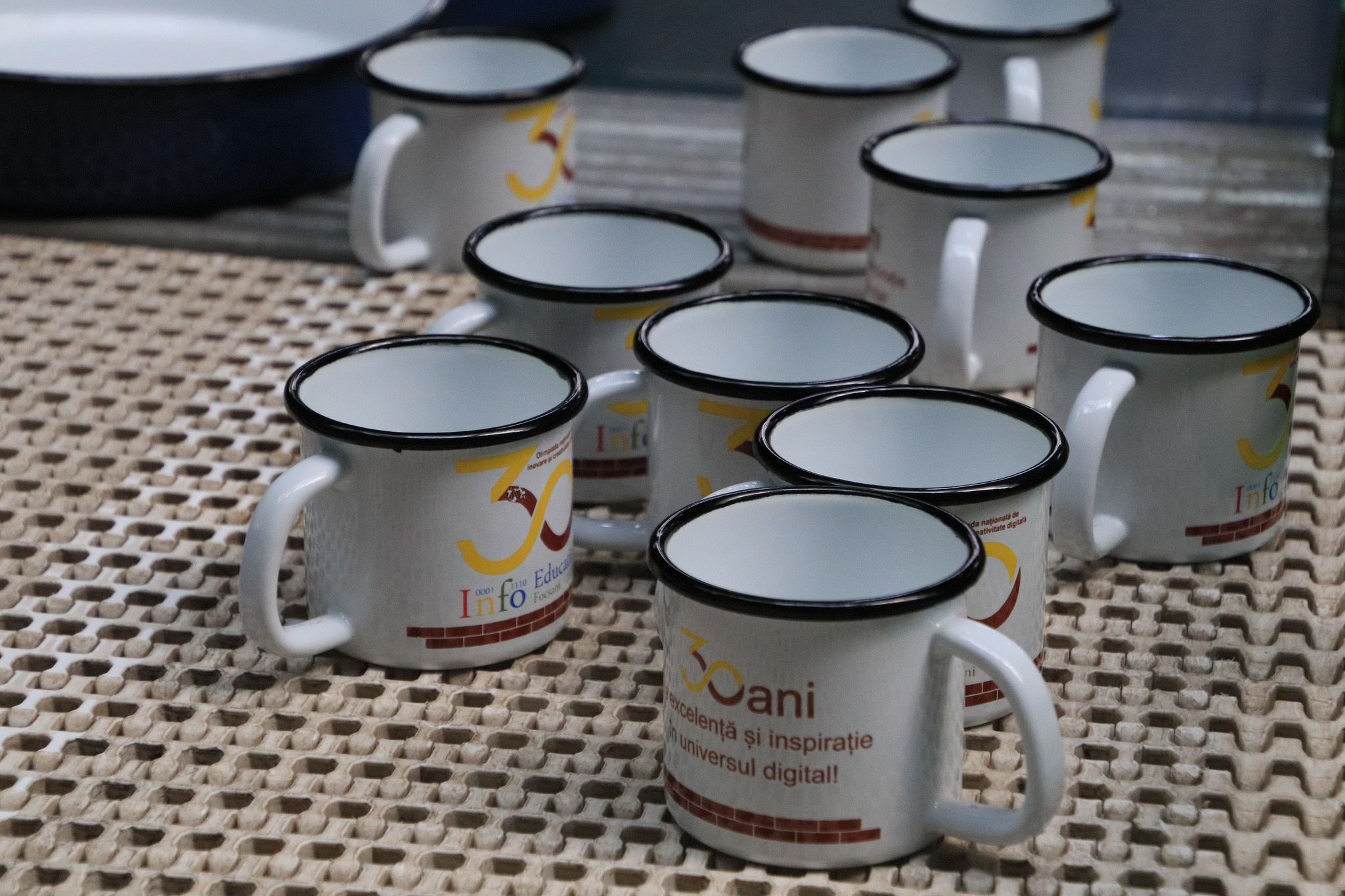 Foto | Cănițele fabricate la Vase Emailate Focșani vor fi emblema ...