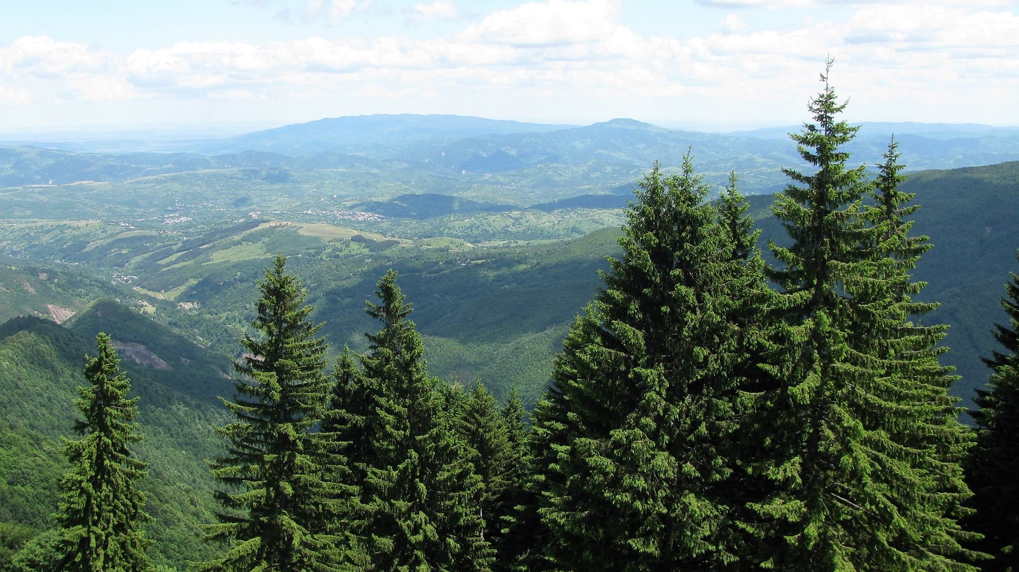 Cum s-au întors 724 ha de pădure din comuna Câmpuri restituite în 2006 ...
