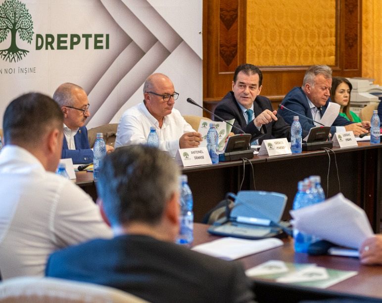 Deputatul de Vrancea, Ion Ștefan: Parlamentarii Forța Dreptei și cei ai ...