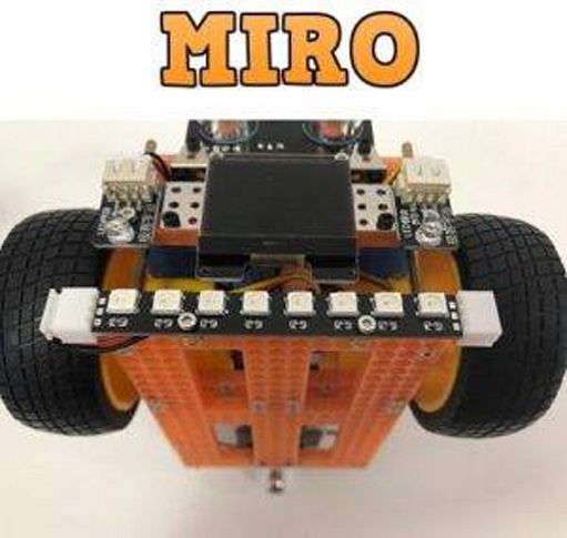 Elevul Alex Ursu de la Școala Gimnazială Pufești, cel mai bine clasat ...