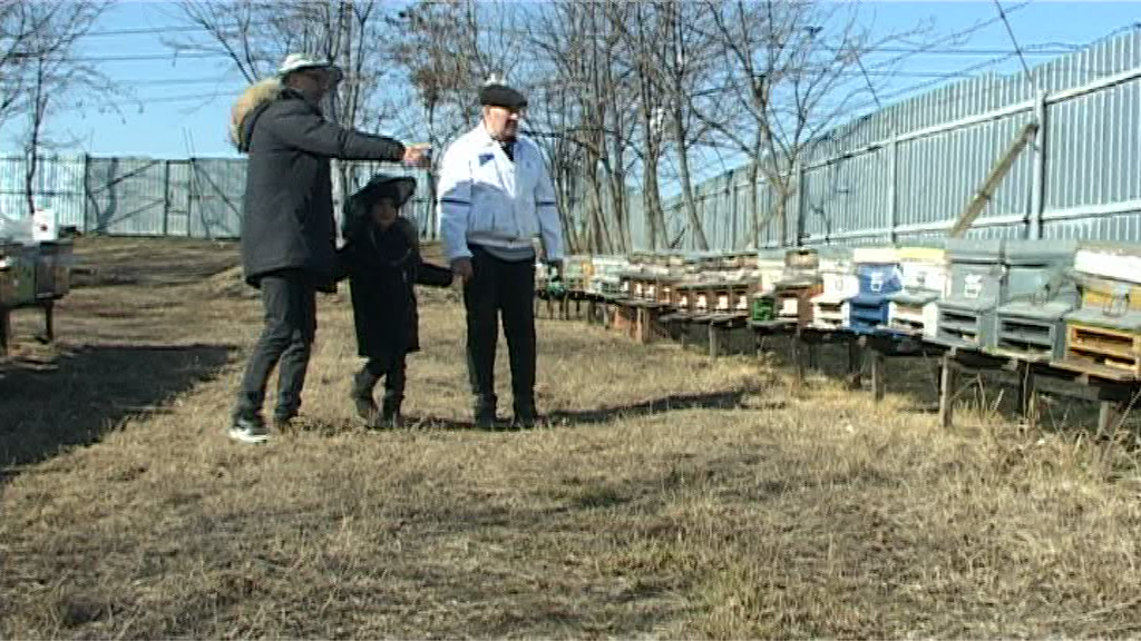 Foto | Albinăritul la a V-a generaţie în familia Zota, din oraşul Mărăşeşti