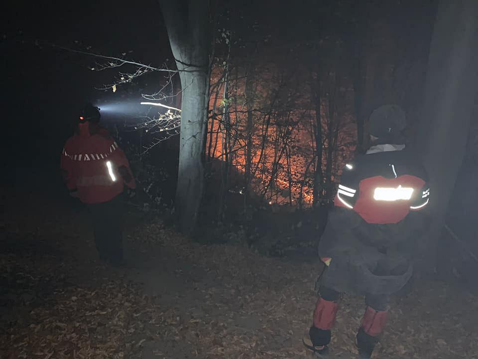 (Update) Foto | Incendiu de pădure de amploare semnalat azi noapte, în ...
