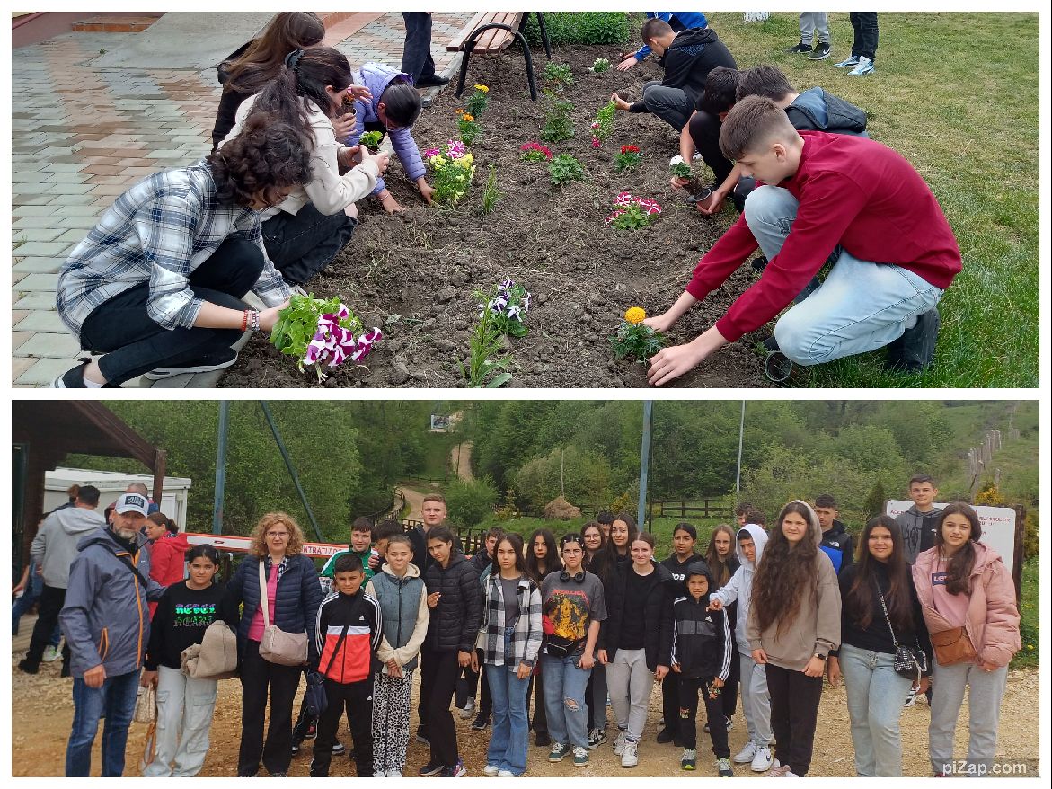 Foto | "Săptămâna verde" la Școala Gimnazială „Emil Atanasiu” din ...