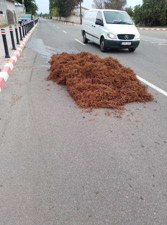 Fotografia zilei – obstacol pentru circulație. Să zâmbim și viața ni se ...