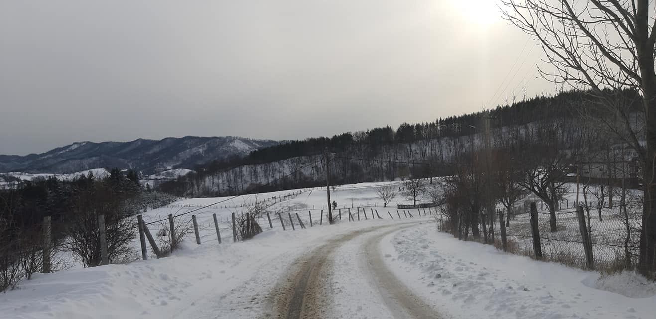 Fotografiile zilei: Iarnă la finalul lunii martie pe Drumul Național 2R ...