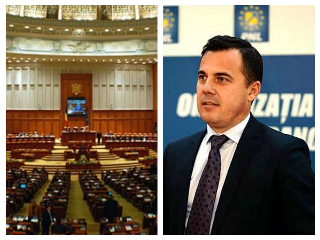 Implementarea programului ”Tineri în Parlament” susținută de Ion Ștefan ...