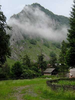 Istoria și patimele codrului vrâncean (I)