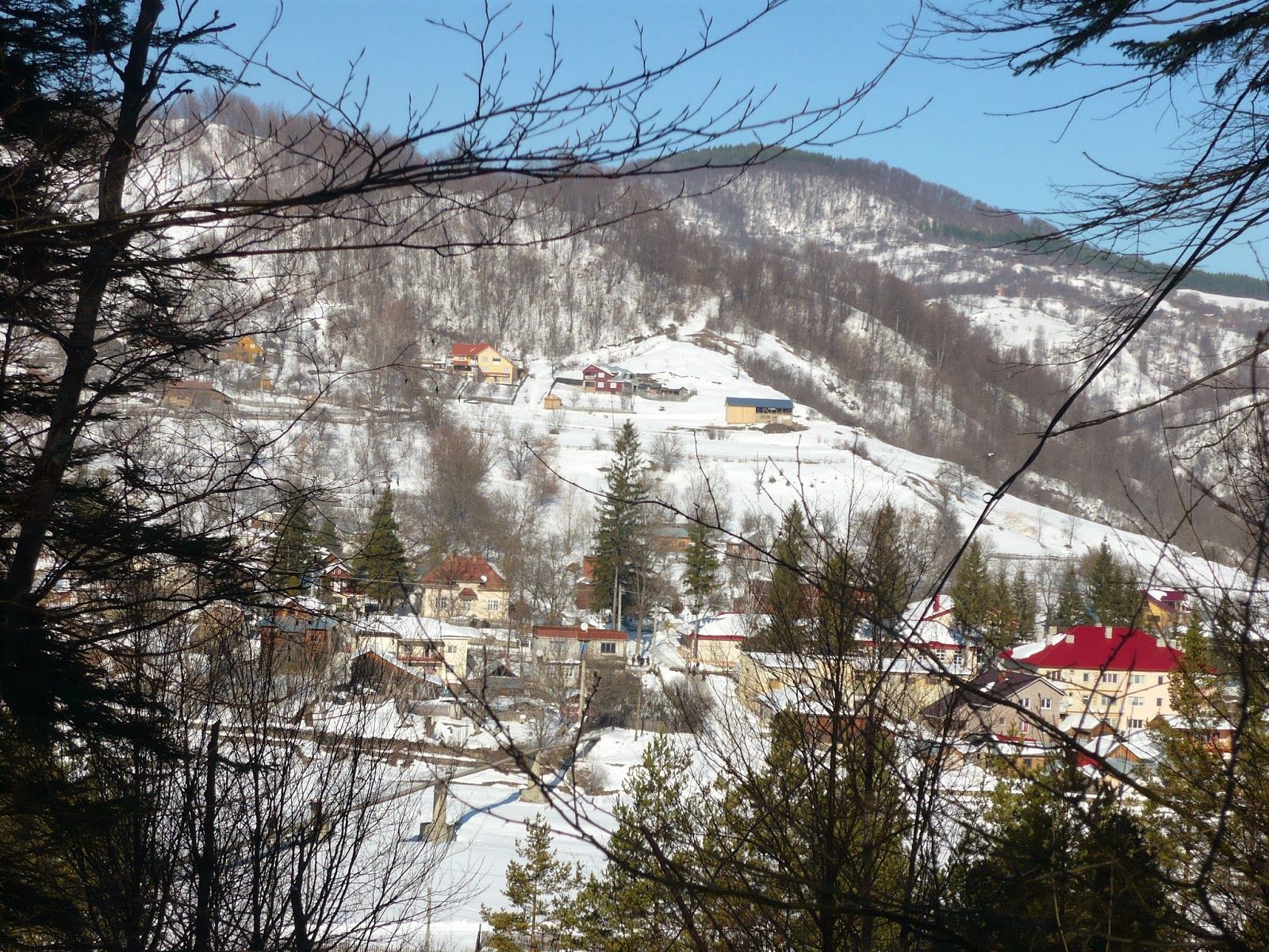 Jitia – Fişă de prezentare
