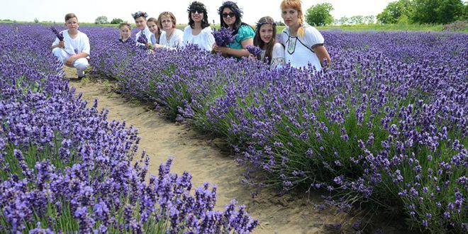 O zi cu parfum de lavandă