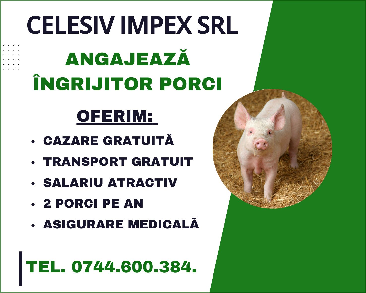 Ofertă de angajare - Angajări - Oferte
