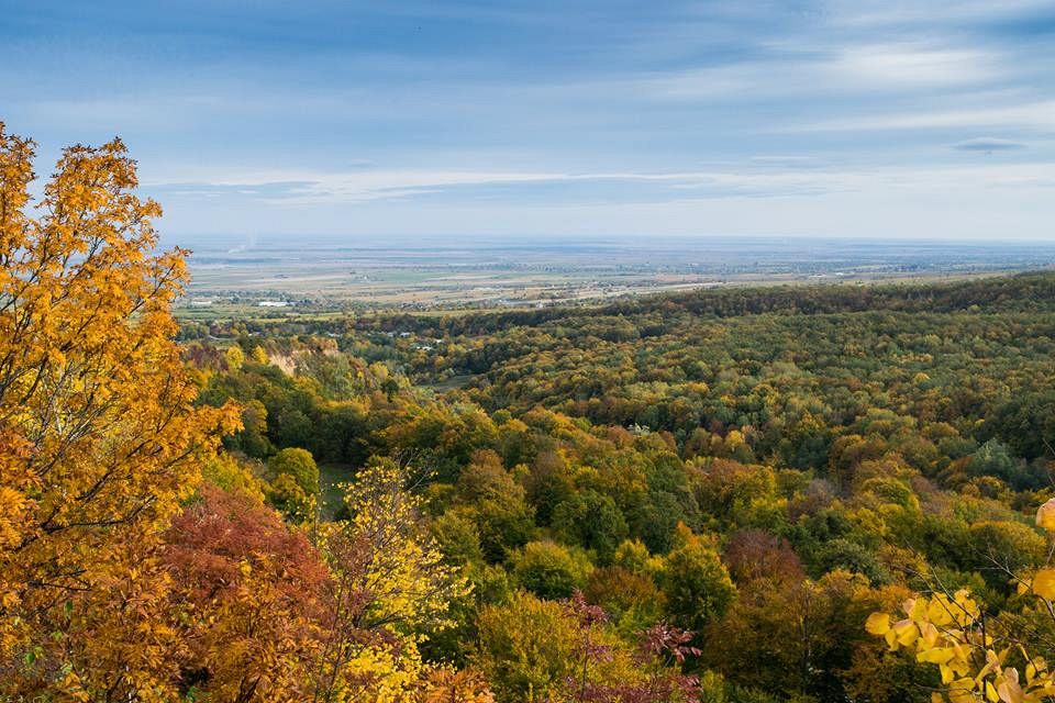 Pastel de toamnă în Pădurea Dălhauți