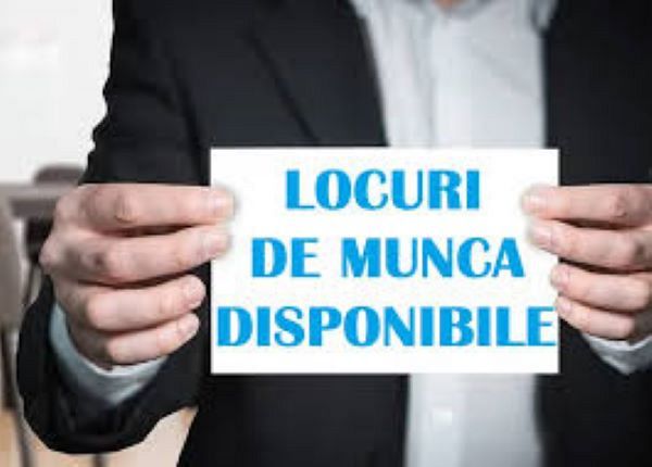 Pentru vrâncenii aflați în căutarea unui loc de muncă: 289 locuri de ...