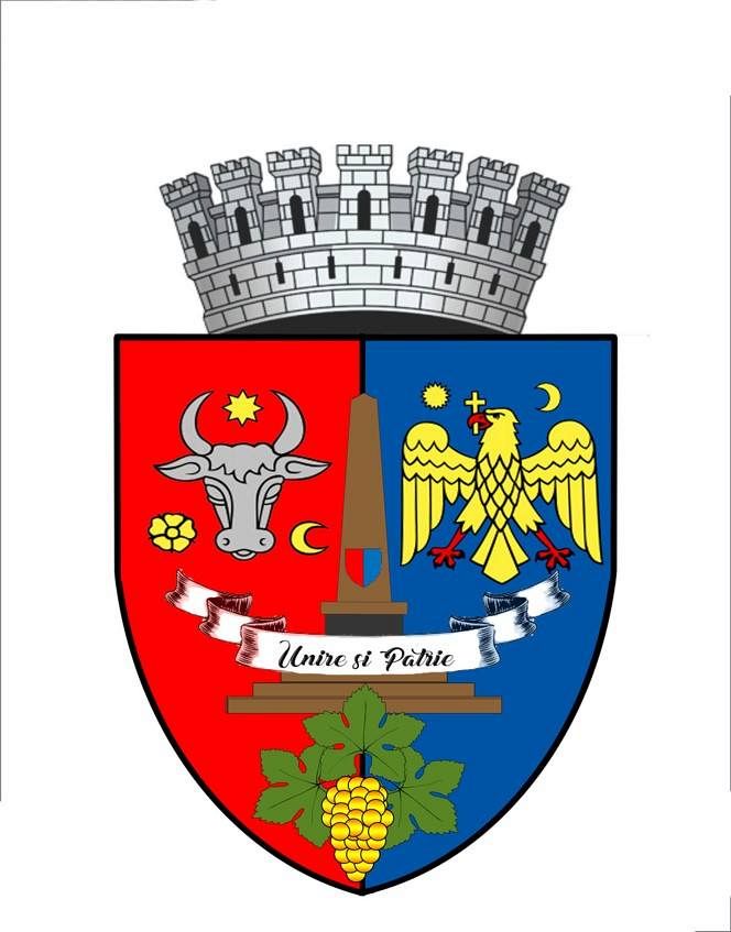 Primăria vrea să cumpere un logo pentru Focșani