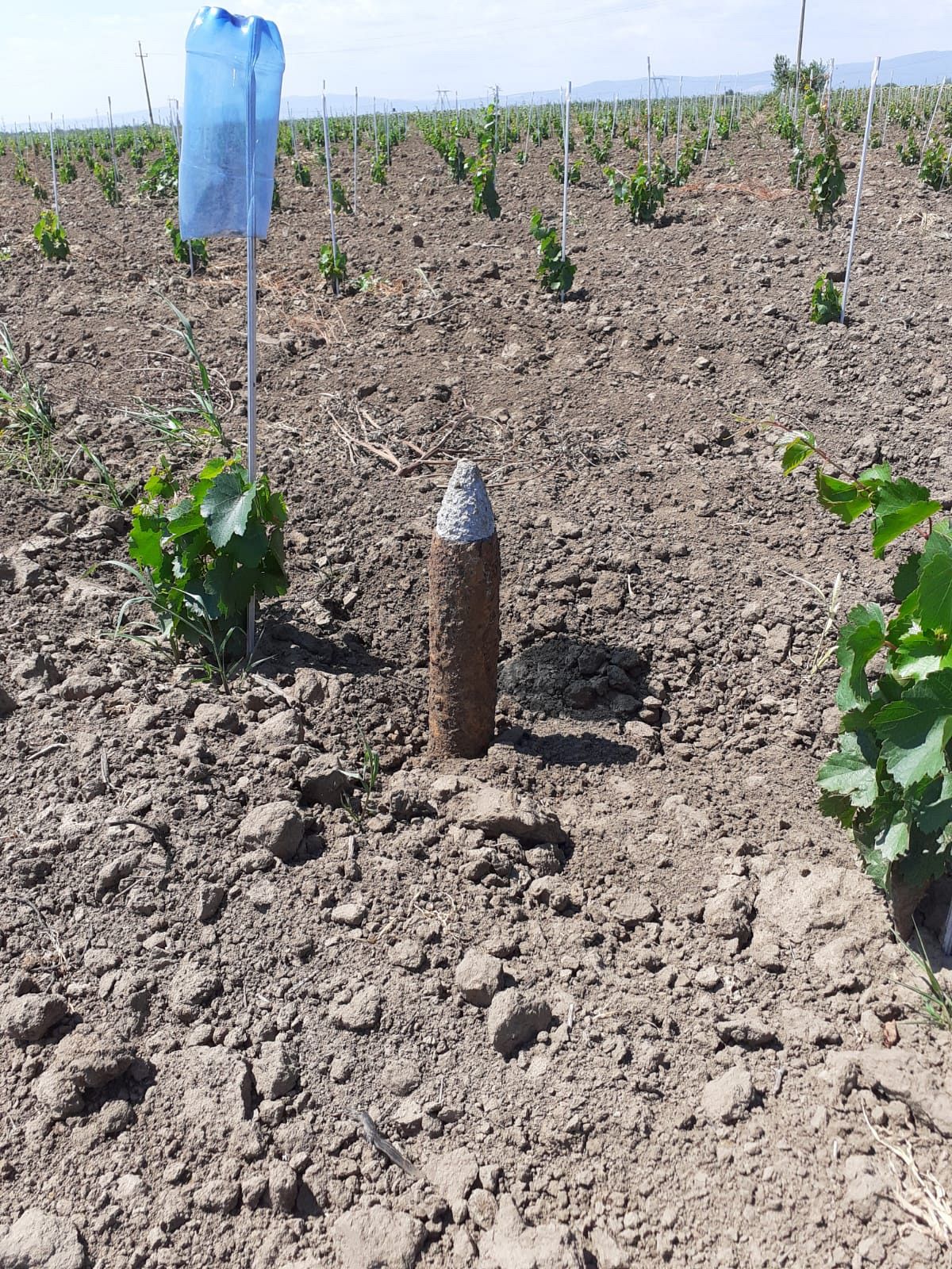 Proiectil exploziv calibru 75 mm, descoperit de un cetățean la Mărăşeşti