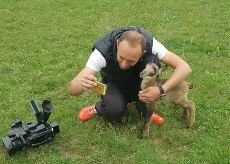 Pui de capră neagră salvat de un angajat CFR dintr-un tunel feroviar