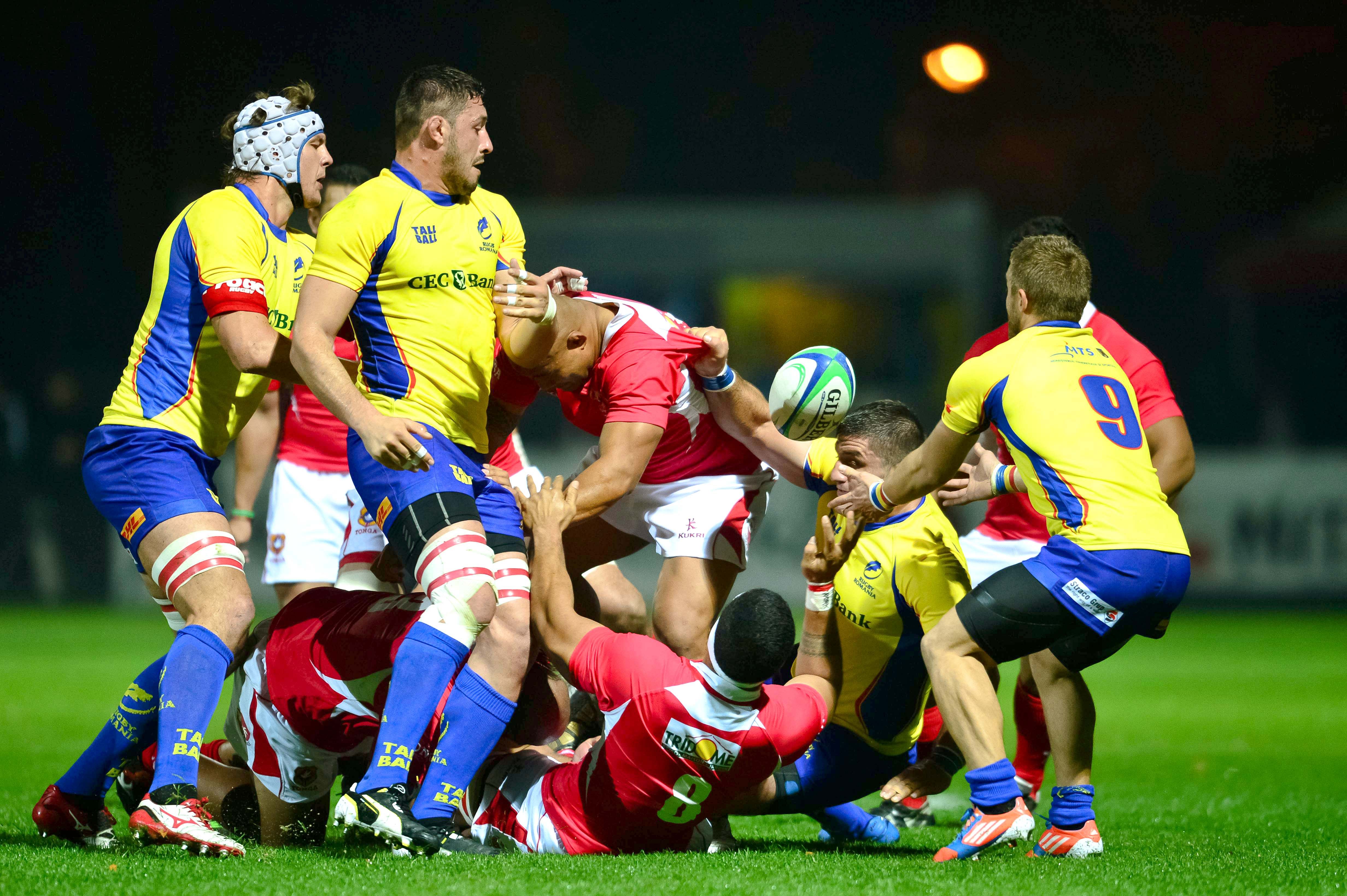 Teste importante pentru “stejari”