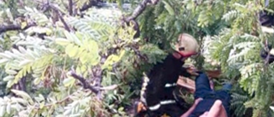 Tragedie în centrul comunei Năruja: Un bărbat în vârstă de 80 ani a ...