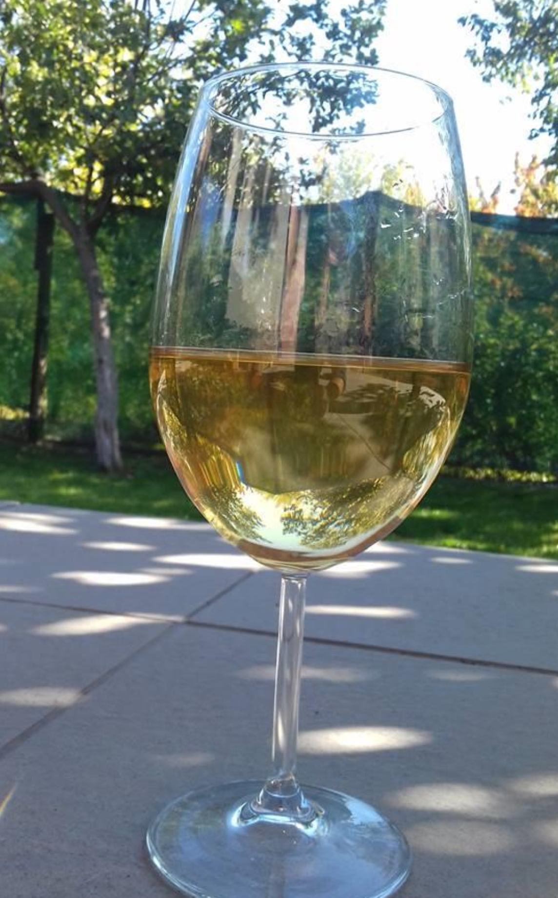 Vând vin 100% natural - Auto - Vânzări