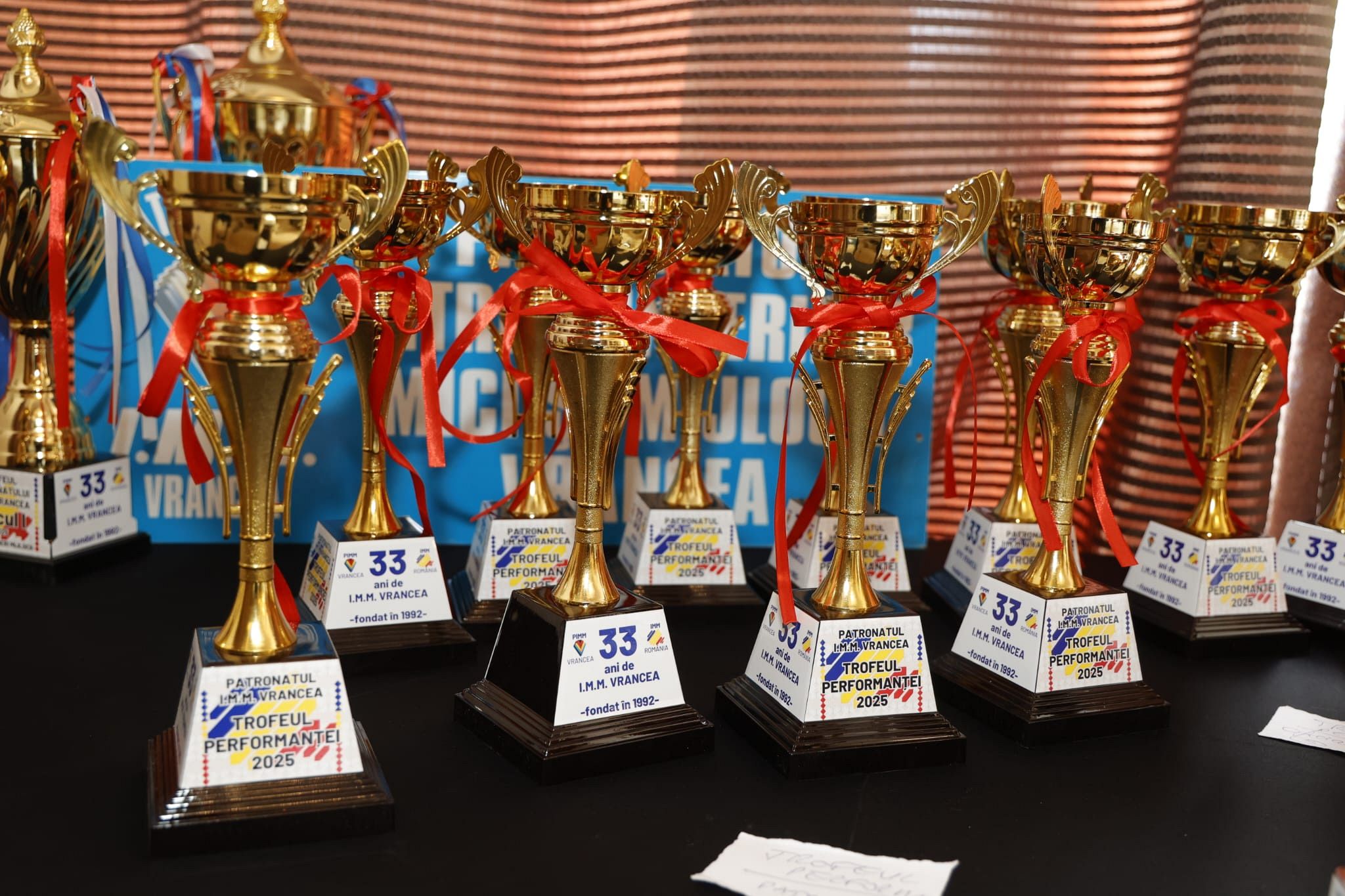 VIDEO + Foto | Ce antreprenori și ce firme au fost premiate la Top IMM ...