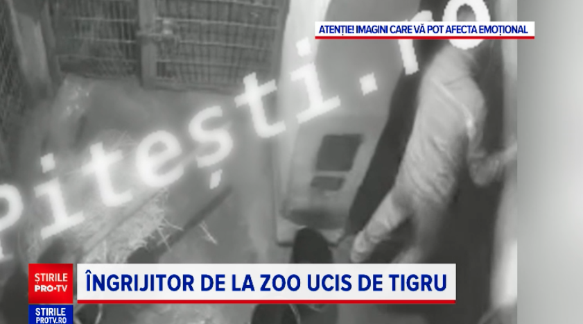 VIDEO | Momentul în care îngrijitorul de la Zoo Pitești a fost ucis de ...