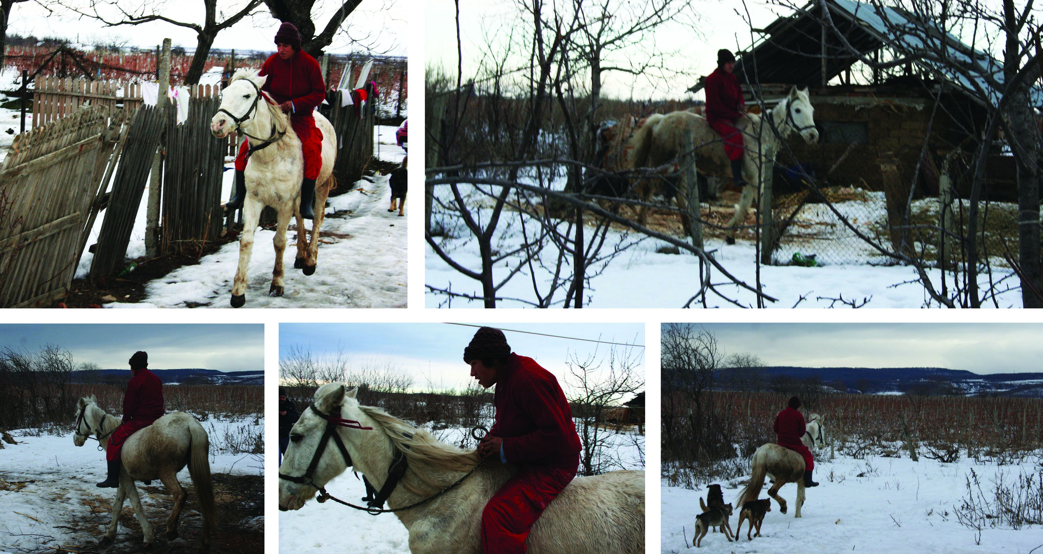 VIDEO | Povestea adolescentei din Vrancea judecată pentru că fura cai ...