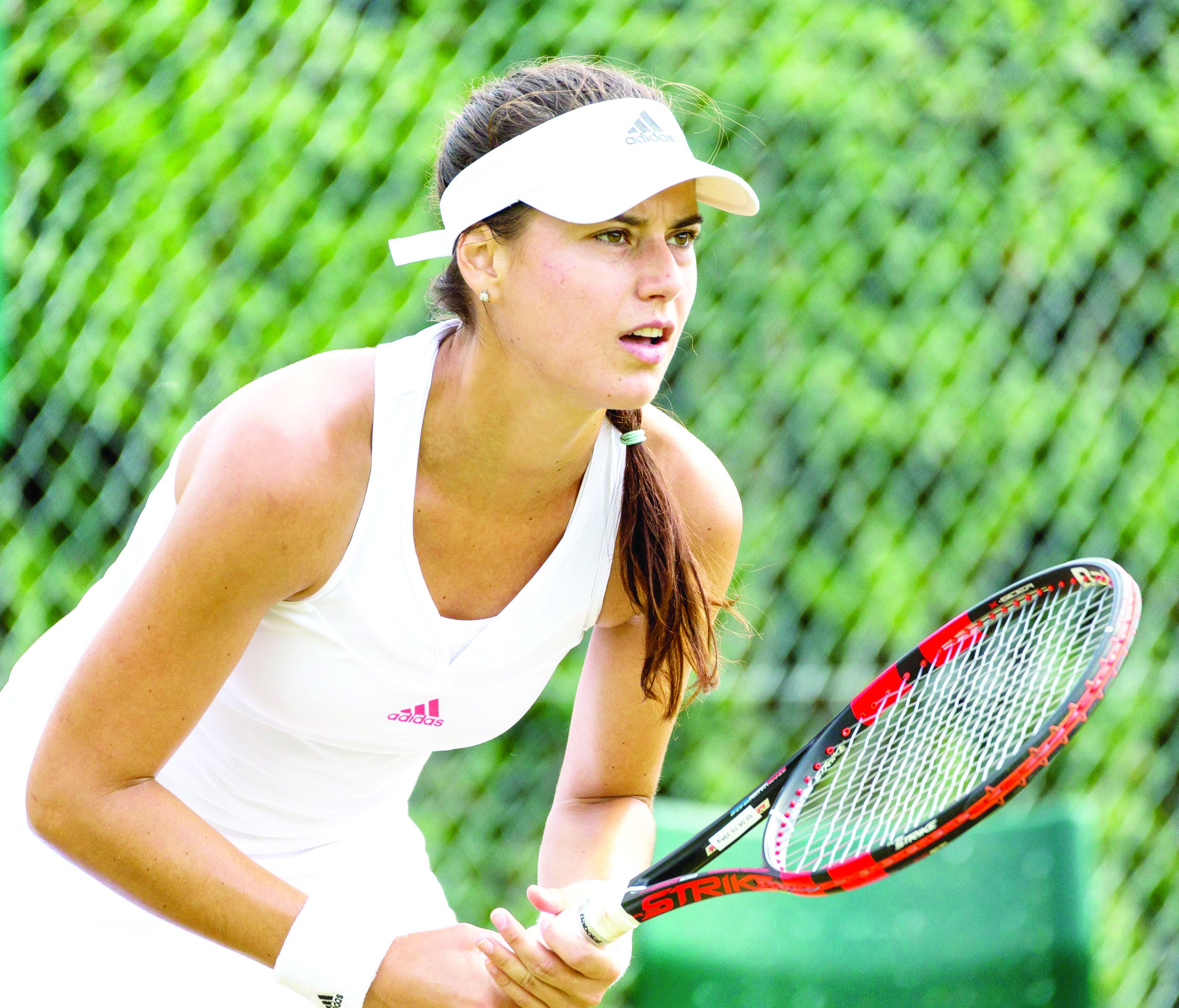 Zgura noastră de acasă